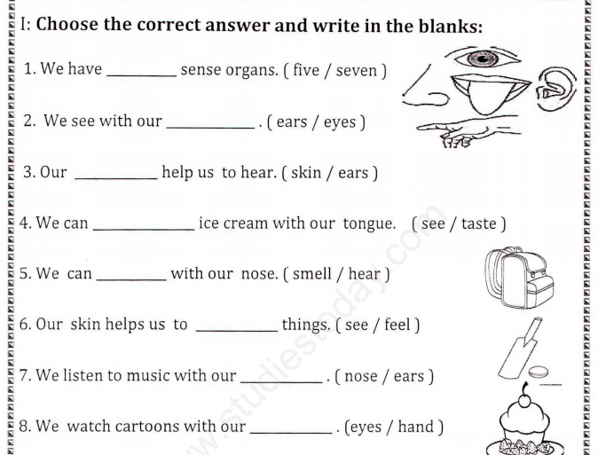 cbse-class-1-evs-how-our-body-parts-help-assignment